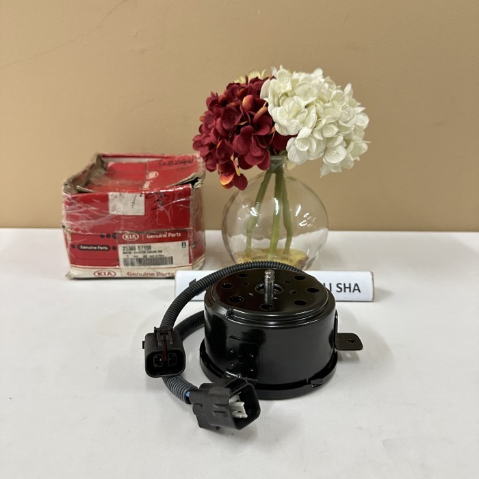 Jual MOTOR RADIATOR COOLING FAN - KIA PICANTO - KIA GENUINE PARTS ...