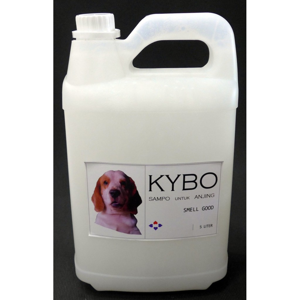 Jual Shampoo Anjing Kybo Smell Good 5 Liter Kdsg5 | Shopee Indonesia
