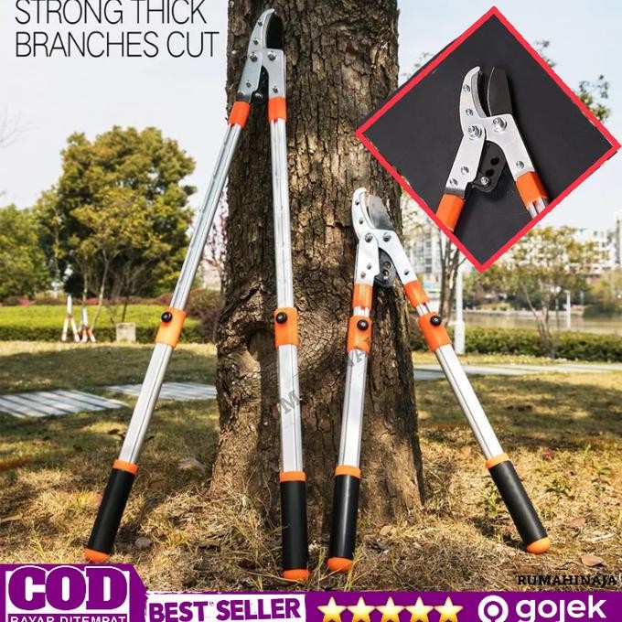 Jual Gunting Pohon Dahan Ranting Taman Telescopic Gagang Panjang Tinggi Original Dan Terlaris ...