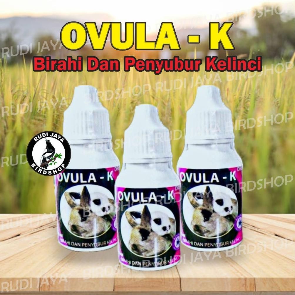 Jual KOE-1116 OVULA K OVULA-K DROP 30 ML TAMASINDO OBAT PENYUBUR BIRAHI ...
