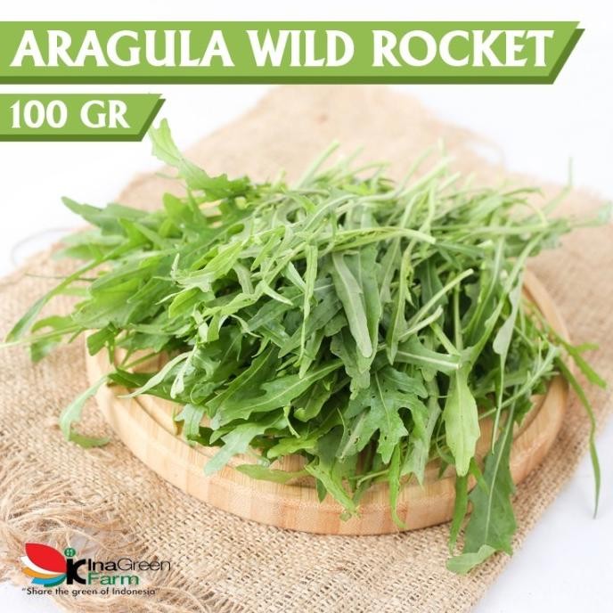 Jual Aragulu Wild Rocket Fresh 100 Gram Inagreen Farm Bandung nUg ...
