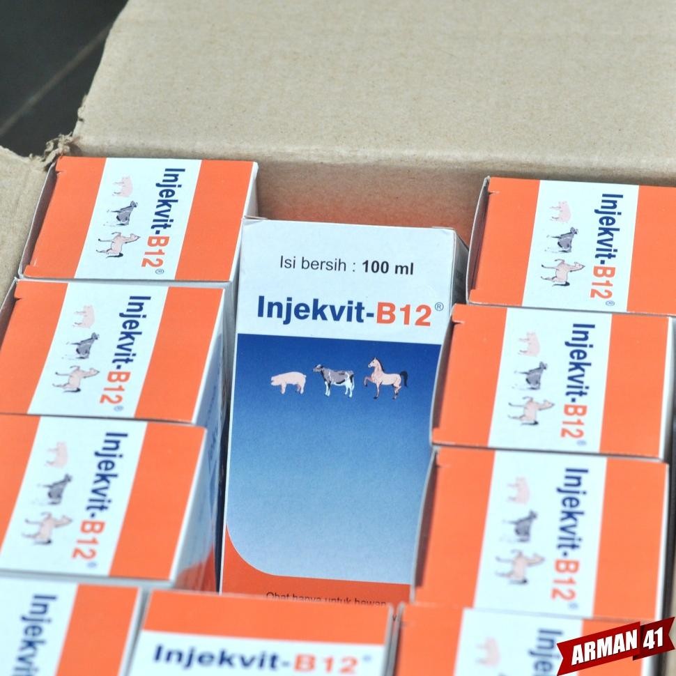 Jual Nld-1419 Jpf-1015 Injekvit B12 Injekvit-B12 Medion Obat Hewan ...