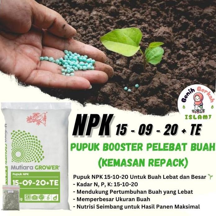 Jual Terlaris Pupuk Pelebat Buah Npk Booster Tanaman - Melebatkan Dan Membesarkan Buah Sawit ...