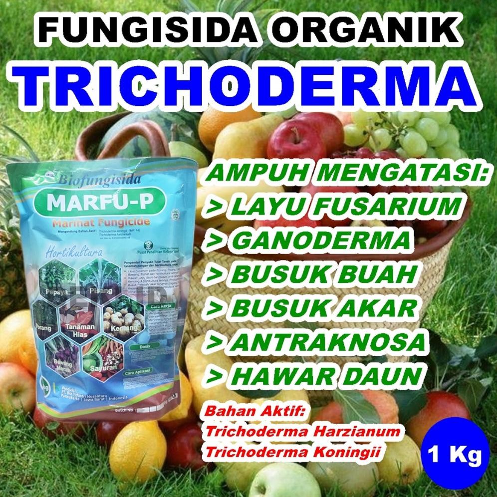 Jual Tricoderma Harzianum 1 Kg Bio Fungisida Hayati Pupuk Organik Marfu ...