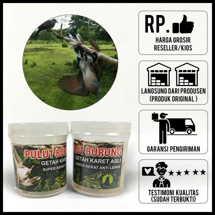 Jual Terlaris Pulut Burung Getah Bendo Karet Asli Lem Super Lengket ...