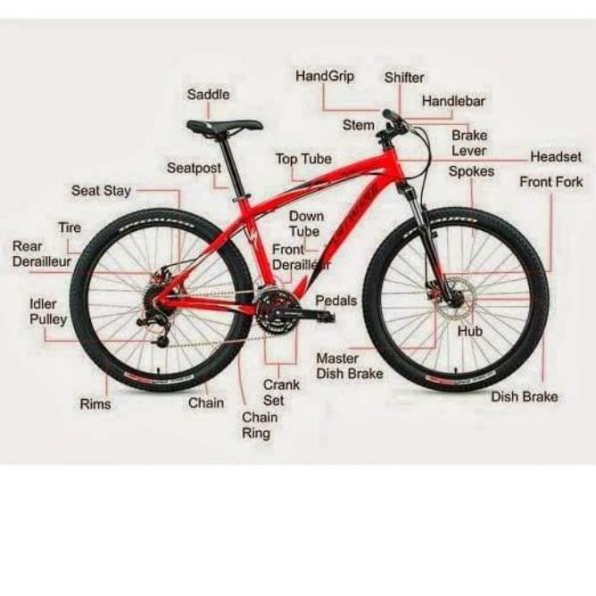 Jual Jasa Rakit Sepeda (Semua Jenis Sepeda) | Shopee Indonesia