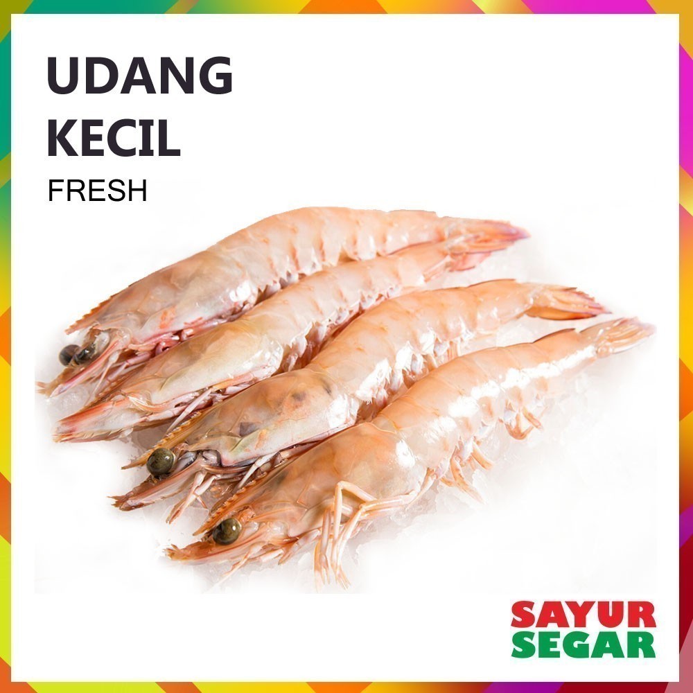Jual Udang Fresh Uk. Kecil [250G] | Shopee Indonesia