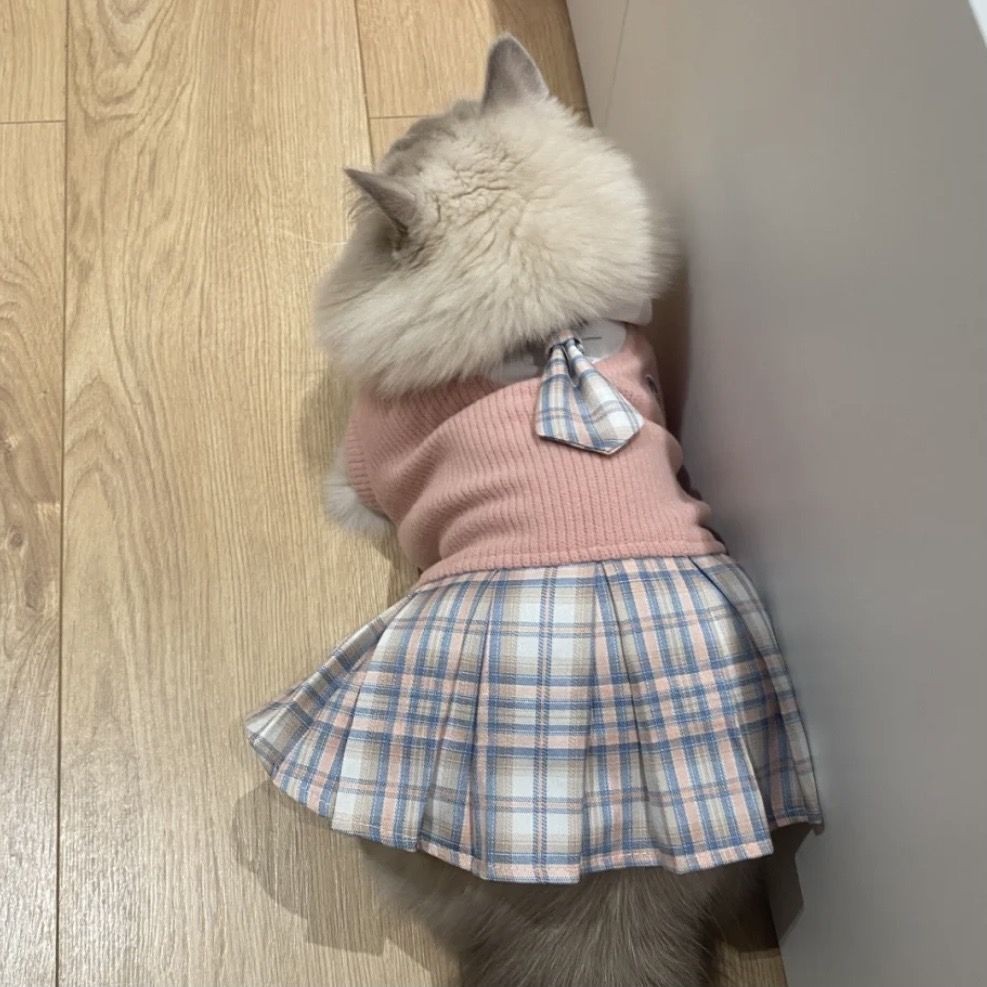 Jual Cat Clothes Autumn and Winter Clothing Muppet Orange Tabby Cat ...