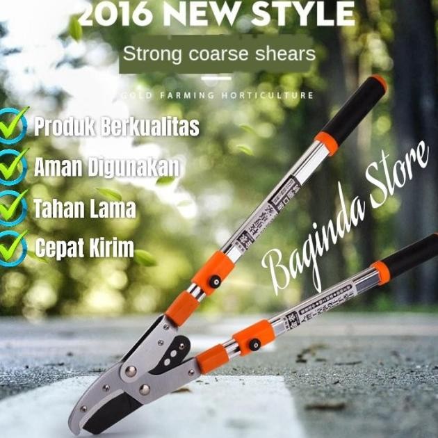 Jual Gunting Dahan Gagang Panjang Gunting Ranting Pohon Tinggi ...