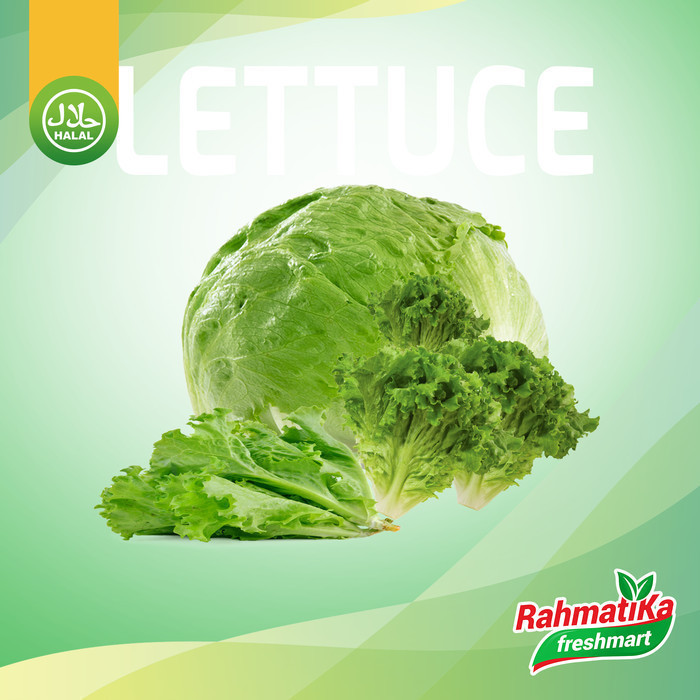 Jual Letus Segar / Lettuce Fresh / Letuce 1 Kg (Sayur Segar) | Shopee ...