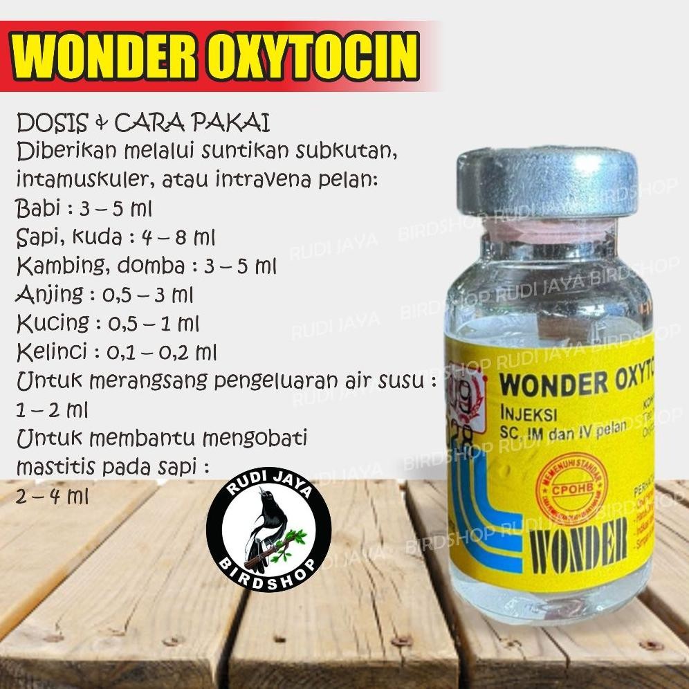 Jual TY69 OXYTOCIN INJEKSI WONDER 10ML OBAT HEWAN TERNAK SAPI KAMBING ...