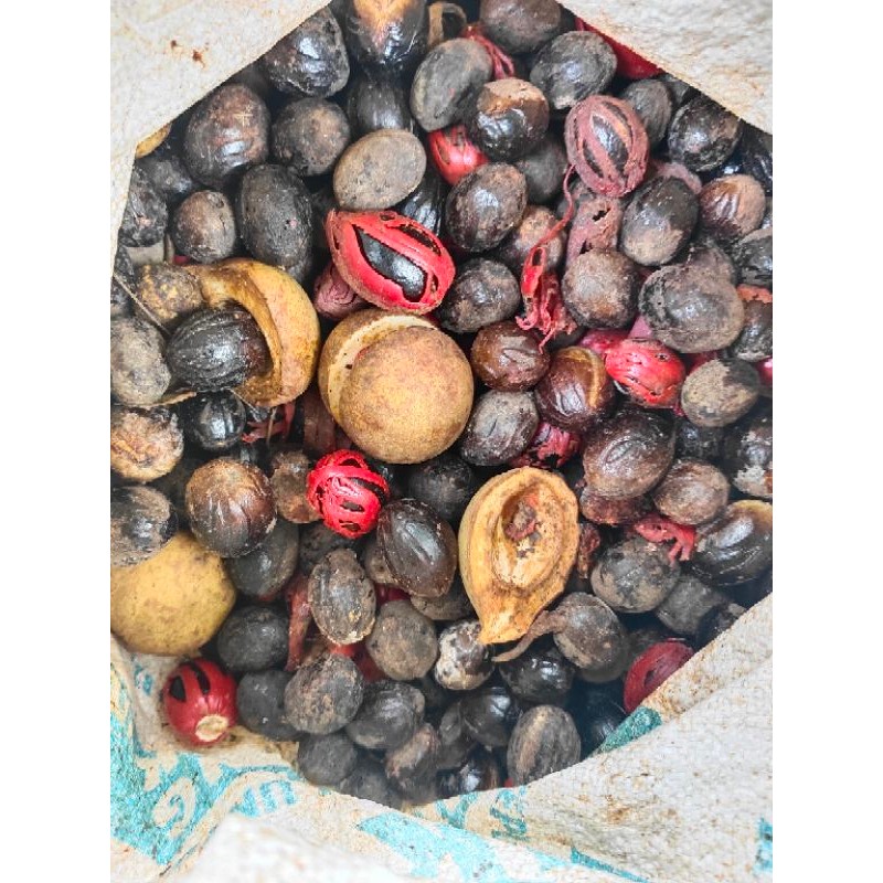 Jual buah pala | Shopee Indonesia