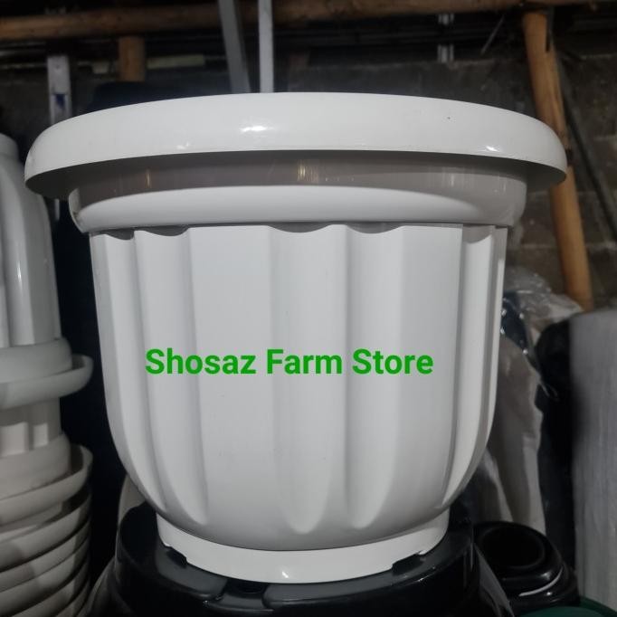 Jual POT BUNGA 60 EBONY 60 PUTIH GLOBAL LION GOJEK ONLY | Shopee Indonesia