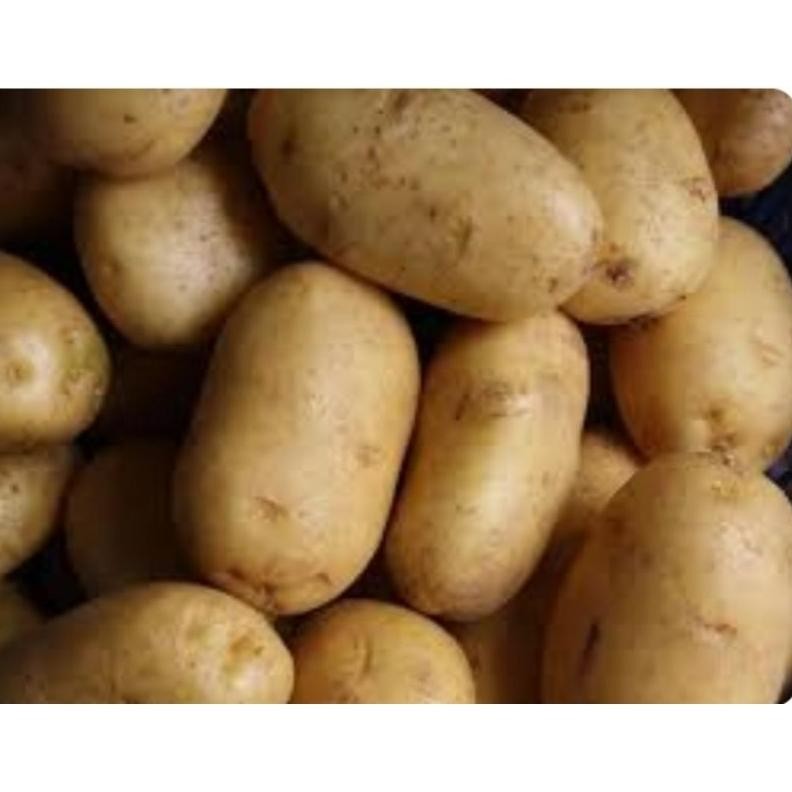 Jual Pilihan Tepat Kentang Kuning Jurang Kuali Batu | Shopee Indonesia