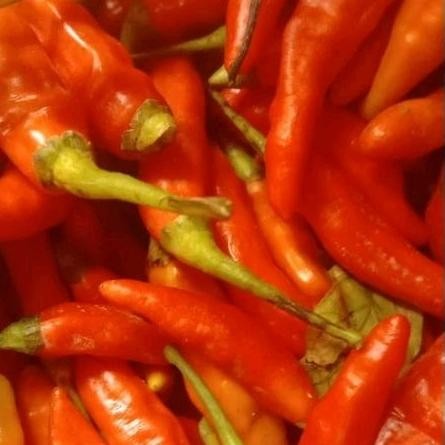 Jual Cabe /Cabai Rawit Merah Ori 500gr | Shopee Indonesia