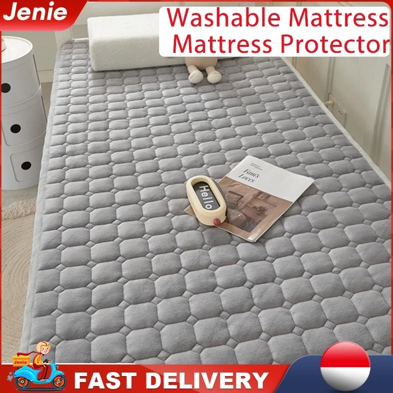 Jual Matras Washable Mattress Mattress Protector Seprai Mattress Topper ...
