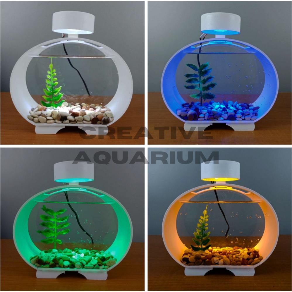 Jual ORIGINAL [ PROMO ] Aquarium ikan Cupang Soliter Akrilik Aquarium ...