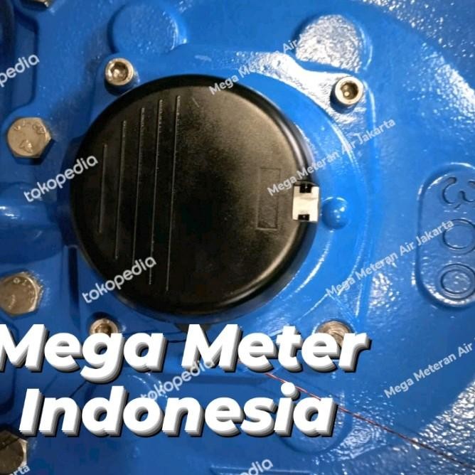 Jual Meteran Air Itron 12 Inch /Water Meter Itron 12 Inch Woltex Weg ...