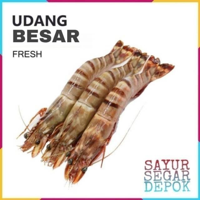 Jual UDANG BESAR 250 GRAM | Shopee Indonesia