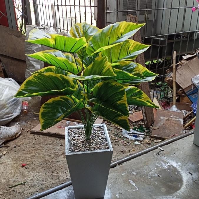 Jual Sale! daun tales srigading tumpah beras artificial bunga plastik ...