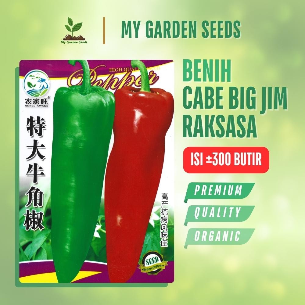 Jual BENIH CABE BIG JIM RAKSASA / JUMBO KEMASAN IMPORT ± 300 BUTIR ...