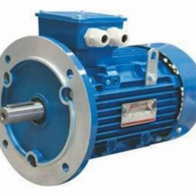 Jual Adk 1,5 Hp 3 Phase 2800 Rpm Flange B5 Dinamo Elektro Motor 1.5 Hp New Stok | Shopee Indonesia