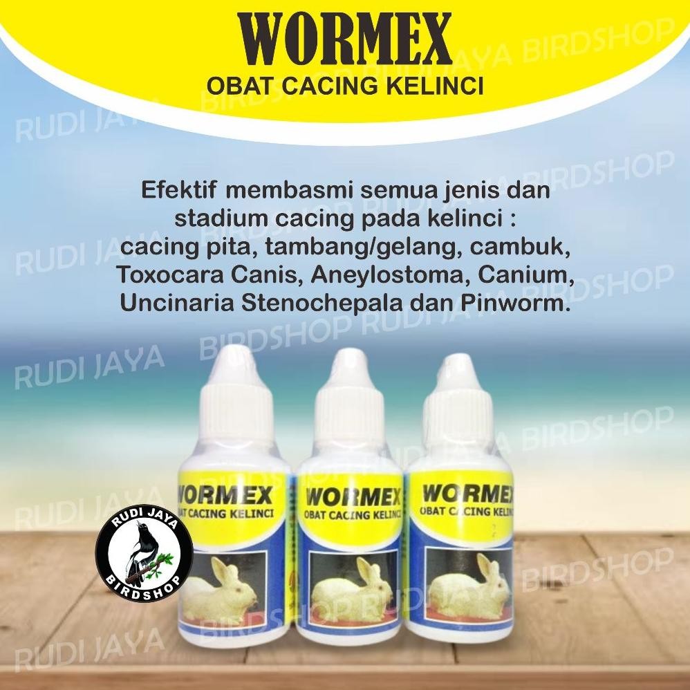 Jual rwet-23 fbx-4 WORMEX WORMEC WORMEK 30 ML TAMASINDO OBAT CACING ...
