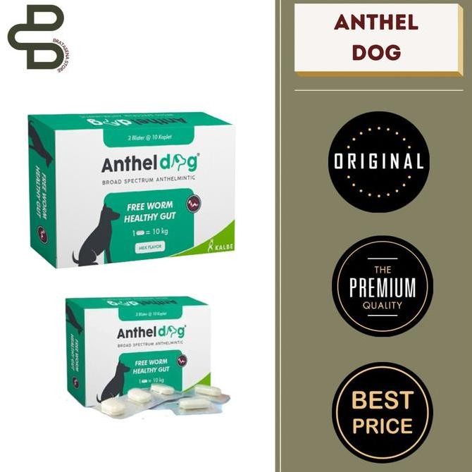 Jual BEBAS ONGKIR - ANTHEL DOG BY KALBE // OBAT CACING ANJING | Shopee ...