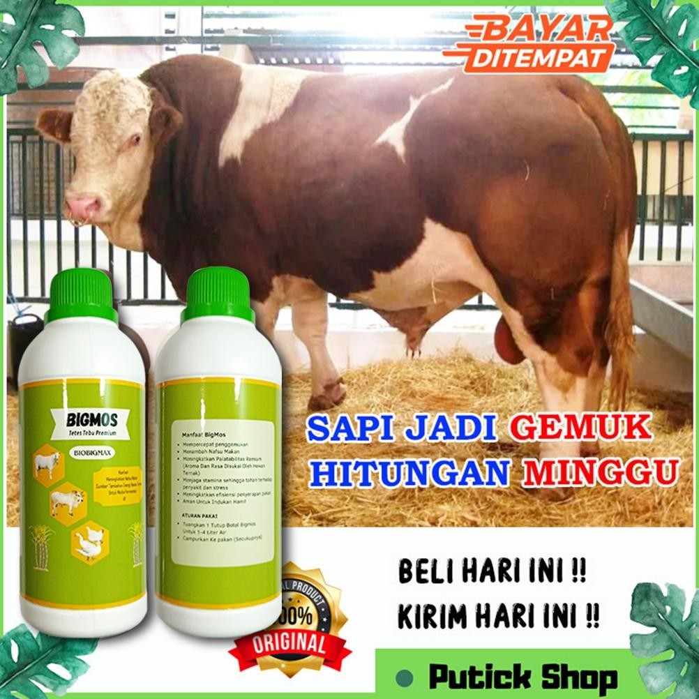 Jual MOLASE TETES TEBU PENGGEMUK SAPI BIGMOS PENGGEMUK SAPI VITAMIN ...