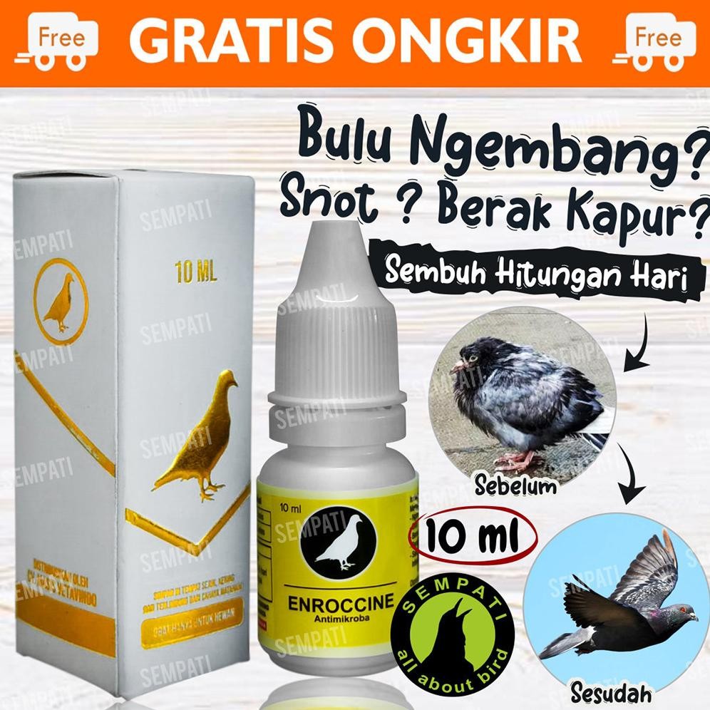 Jual SEMPATI ENROCCINE VITAREST OBAT BURUNG MERPATI BERAK HIJAU KAPUR ...