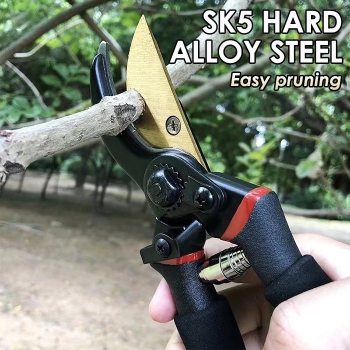 Jual 5 Gunting Dahan Tainle Gunting Dahan Ranting Pohon Buah Bercabang ...