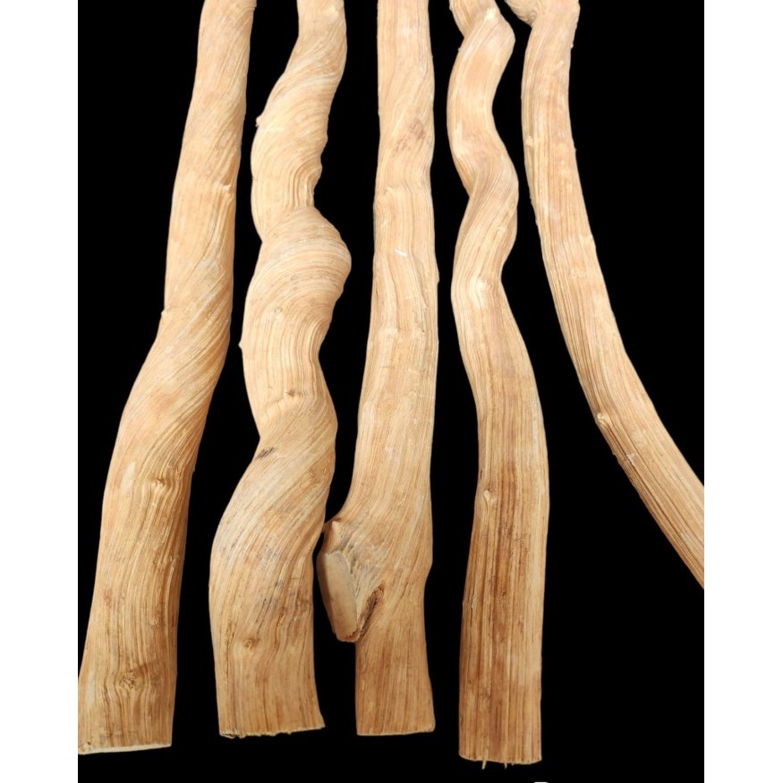 Jual AKAR KAYU LIANA BESAR PANJANG 1M UNTUK TANKRINGAN BURUNG | Shopee ...