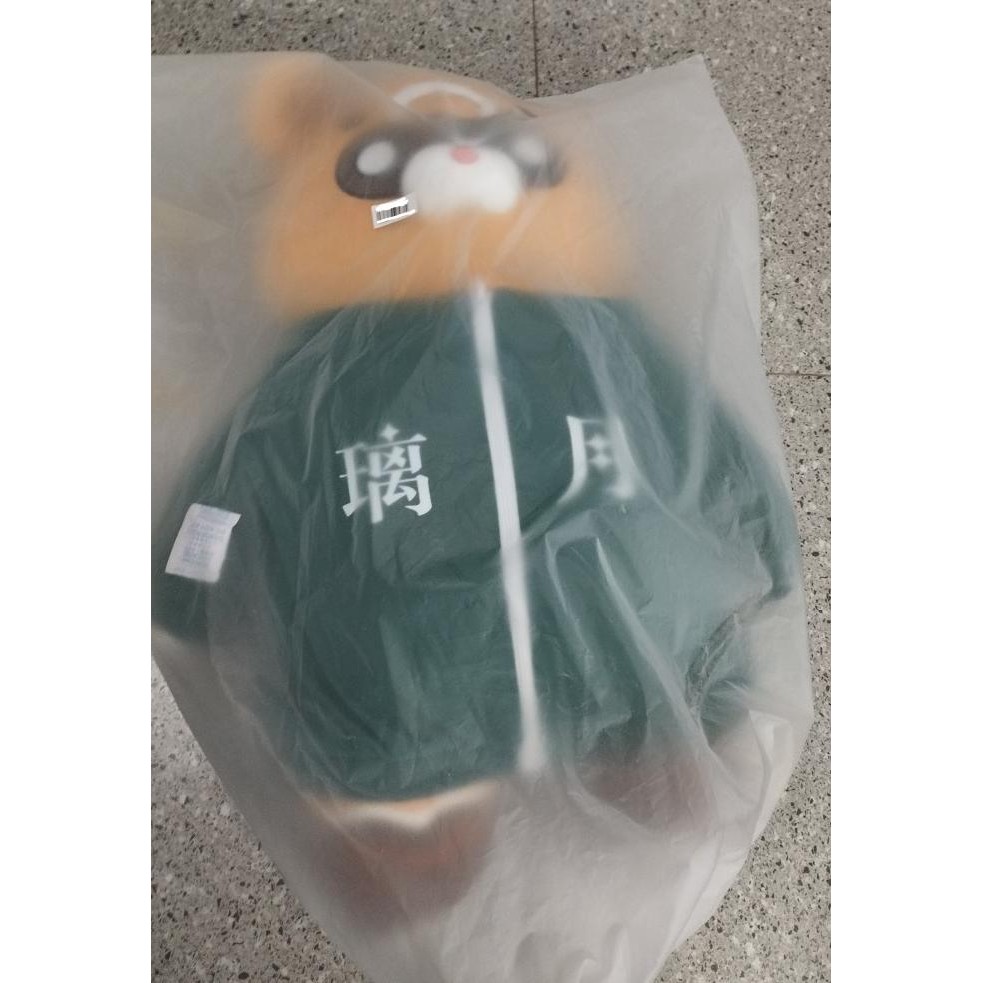 Jual Genshin Impact God of The stove Marchosias Guoba Life Size Plushie ...