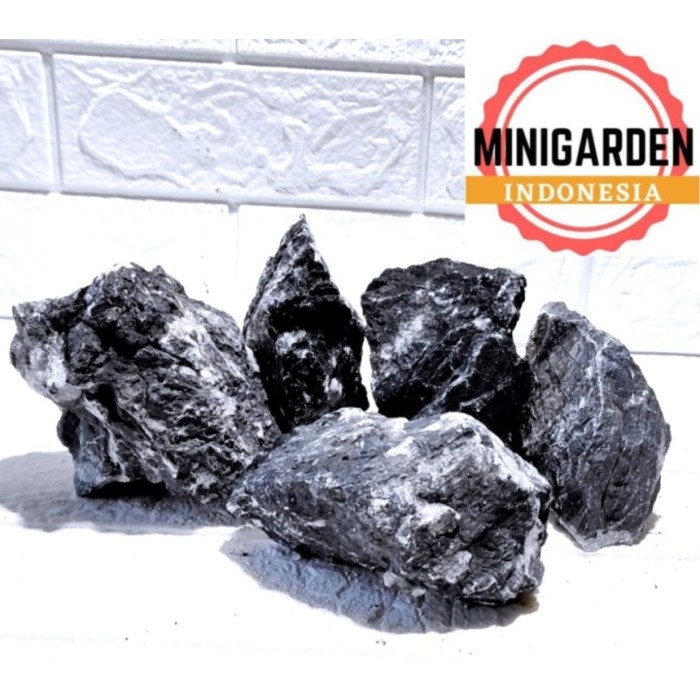 Jual BOOM SALE BATU KREKET BATU KRIKET BLACK SEIRYU DEKORASI AQUASCAPE ...