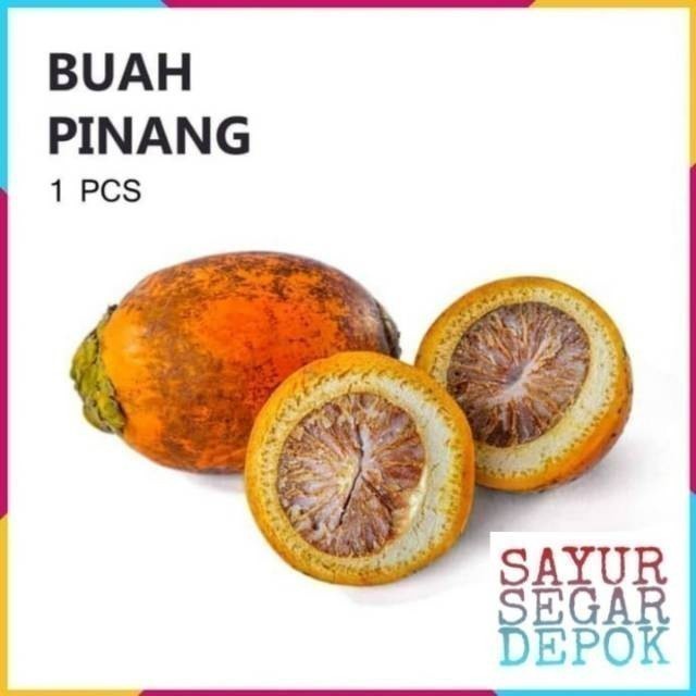 Jual BUAH PINANG ISI 3 PCS | Shopee Indonesia