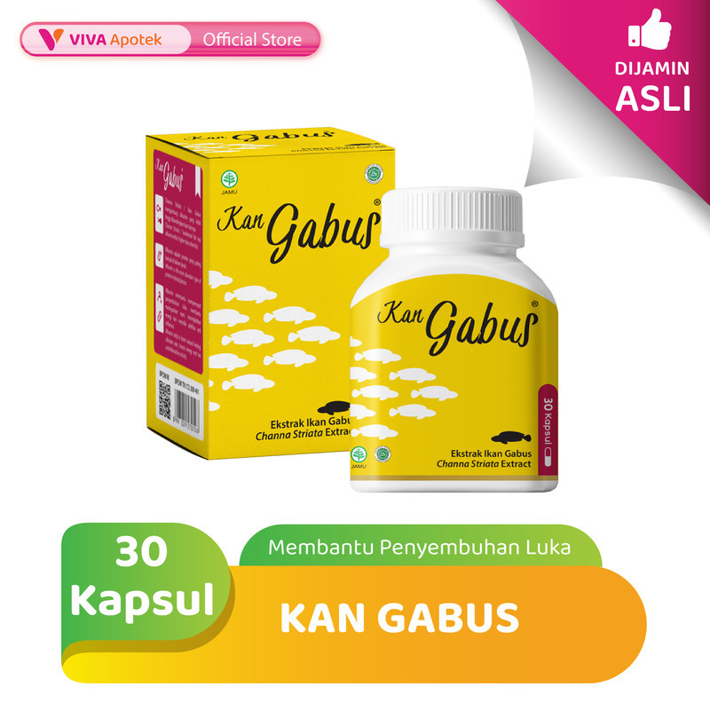 Jual Kan Gabus untuk Membantu Penyembuhan Luka (30 Kapsul) | Shopee ...