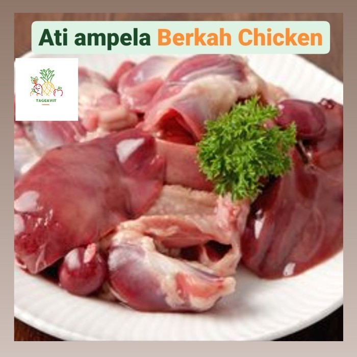 Jual Hati Ampela Ayam Berkah Chicken Ati Ayam Sehat Probiotik Herbal ...