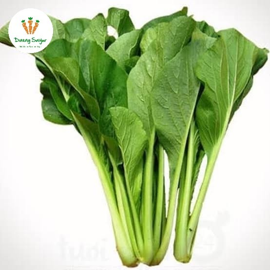 Jual Sawi Hijau Caisim Segar - 1 ikat | Shopee Indonesia