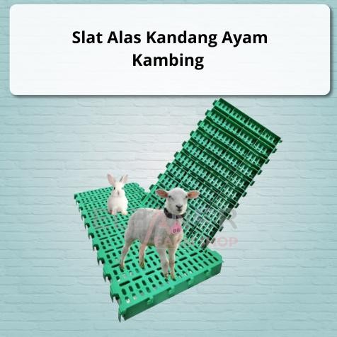 Jual Slat Lantai Kandang Kambing Domba Ayam Kelinci Lantai Ternak Hijau | Shopee Indonesia