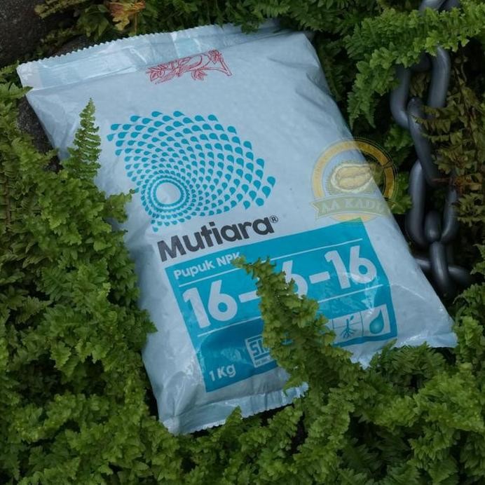 Jual Terlaris Pupuk Npk Mutiara 16 16 16 Meroke 1 Kg Kemasan Pabrik 161616 Masa Pertumbuhan Akar ...