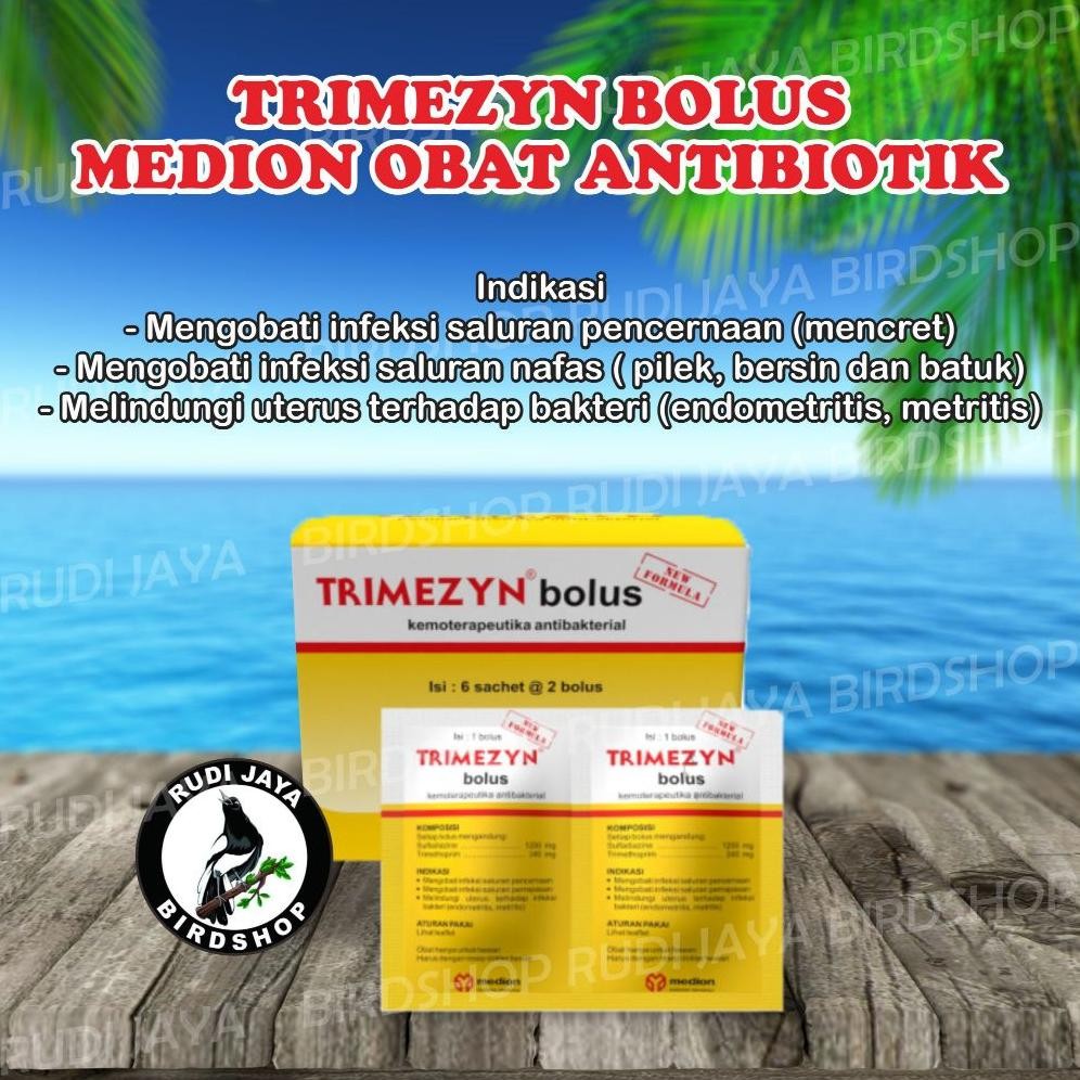 Jual Wdr-75 2Er-54 Trimezyn Bolus Medion Obat Antibiotik Kerbau Babi ...