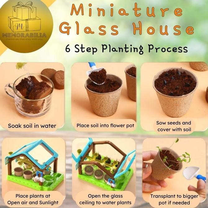 Jual Mainan Miniature Glass House Tumbuhan Sayur Buah Rumah Kaca ...