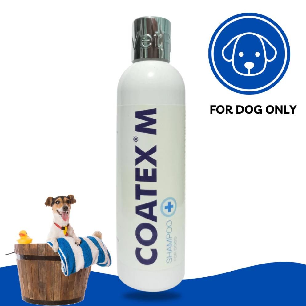Jual Shampoo Coatex Medicated For Dogs Anti Jamur Bakteri Anjing 250ml ...