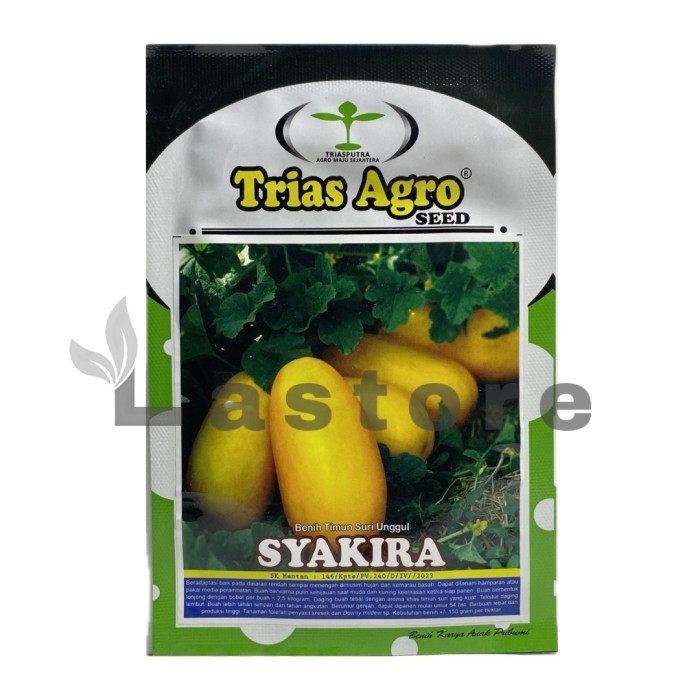 Jual Jual [READY] Benih Timun Suri Syakira 10 gr (600 Biji) Kemasan Asli Pabrik | Shopee Indonesia
