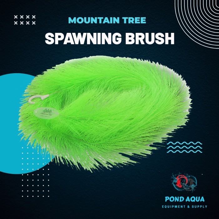 Jual Jual [READY] Koi Brush Breeding Spawning Brushes Koi Fish Breeder ...