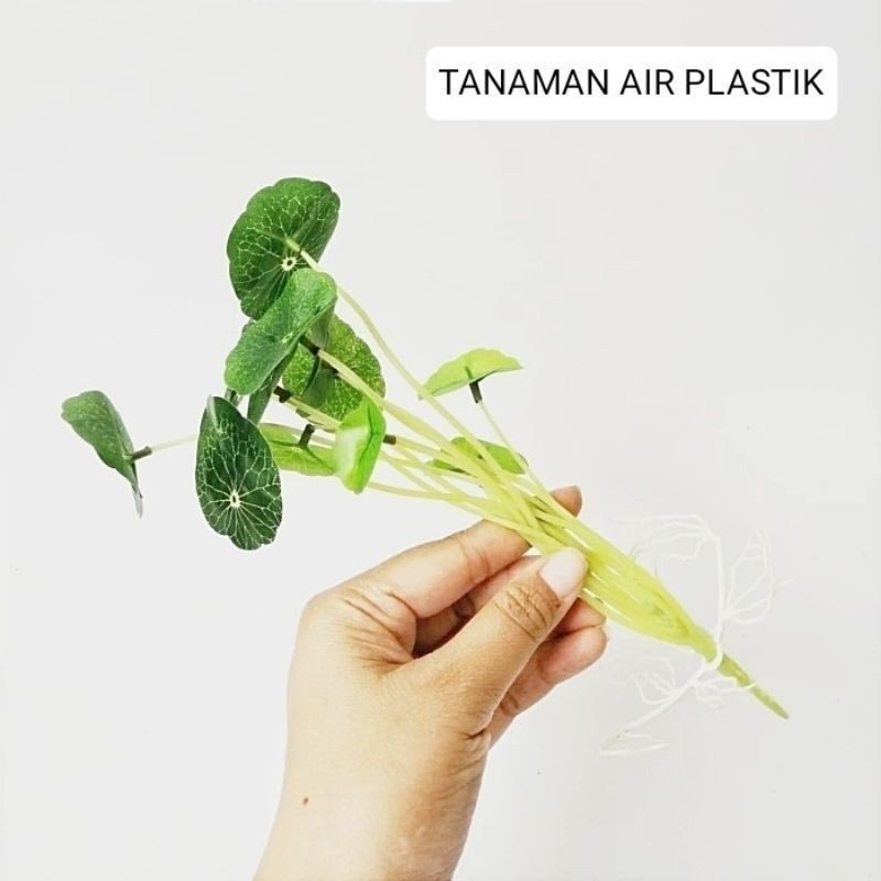 Jual Produk Terbaru ! Vas Kaca Bening Tabung Mini Alle / Pot Kaca ...
