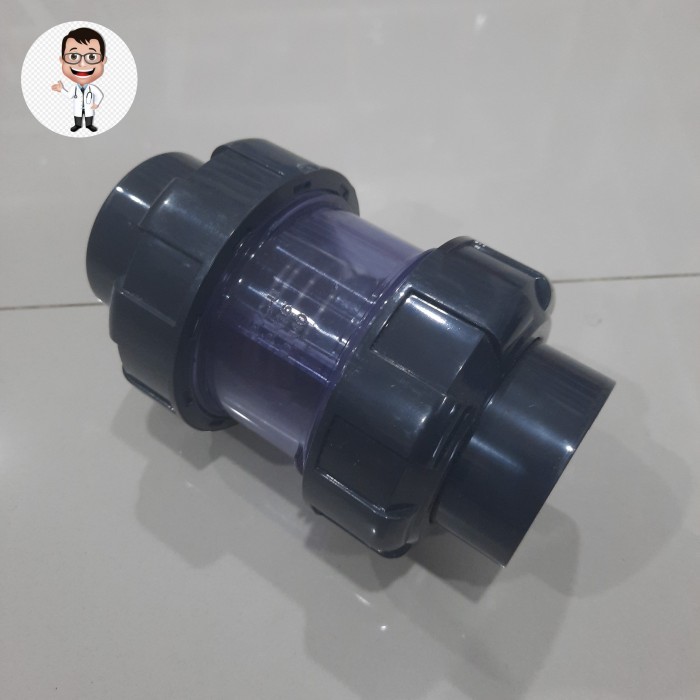 Jual Check Valve Pipa 2In Merk Boost Cek Valve Kolam Renang | Shopee ...