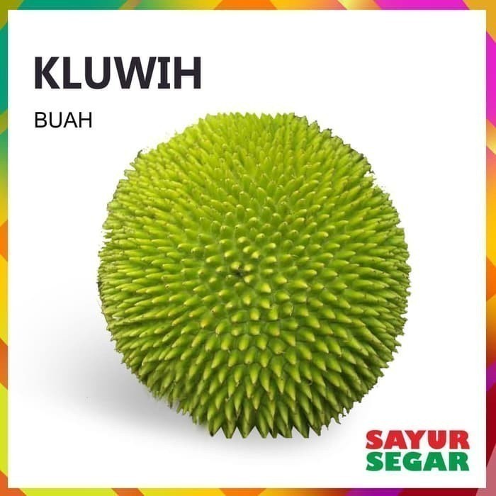 Jual Buah Kluwih [1 Pcs, ±1500G] | Shopee Indonesia