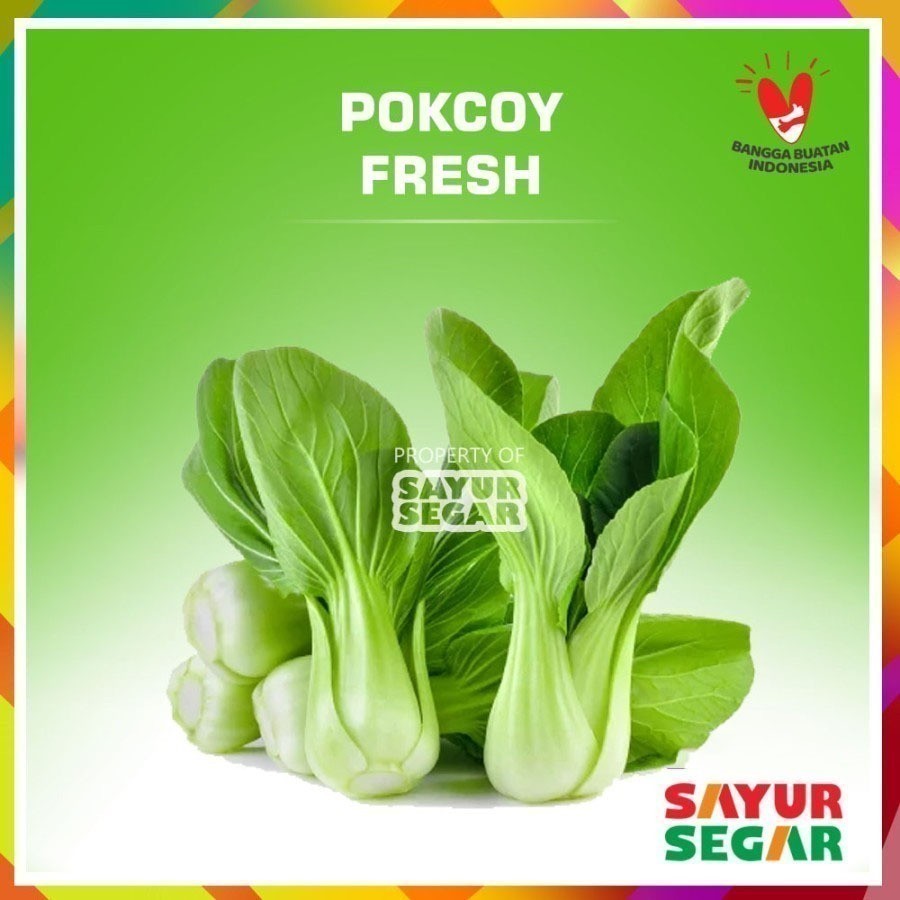 Jual [DEPOK] PAKCOY / POKCOY / PAK COY SAYUR [1 Ikat] FRESH | Shopee ...