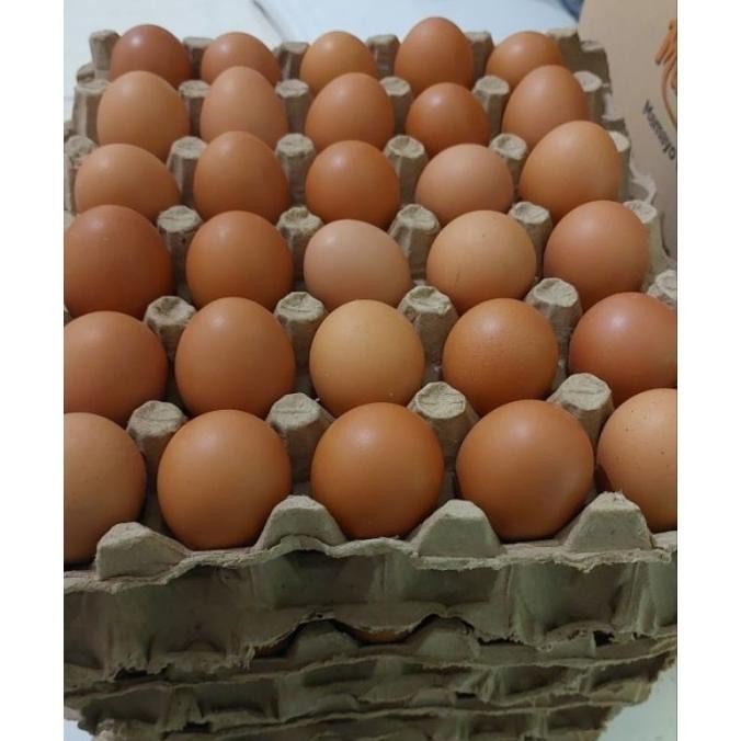 Jual (Expert) Telur Ayam Negeri 1kg 16,17 - 18 butir ( /sameday ...